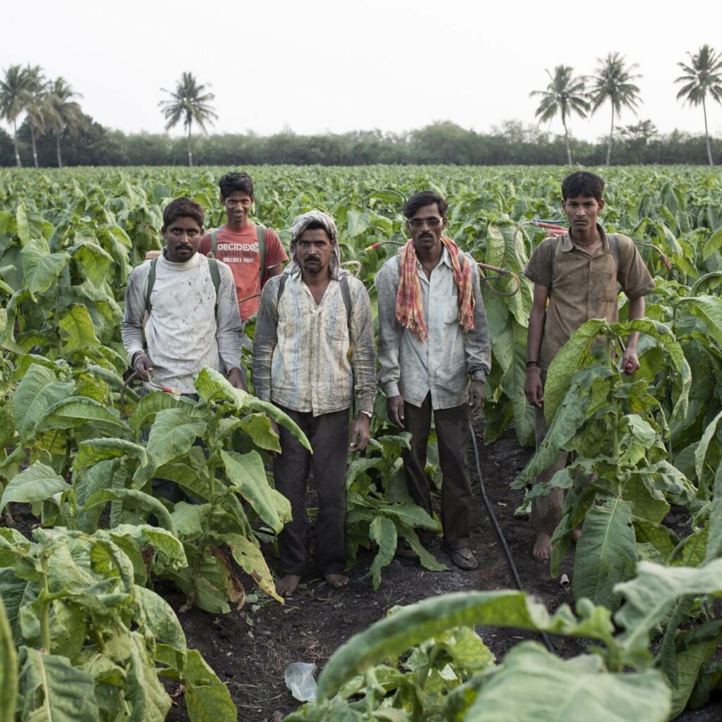 Photos of the International Tobacco Industry & Anti-smoking images